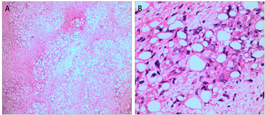 Maples Scientific Publisher | Open Access Journals | Peer-reviewed ...